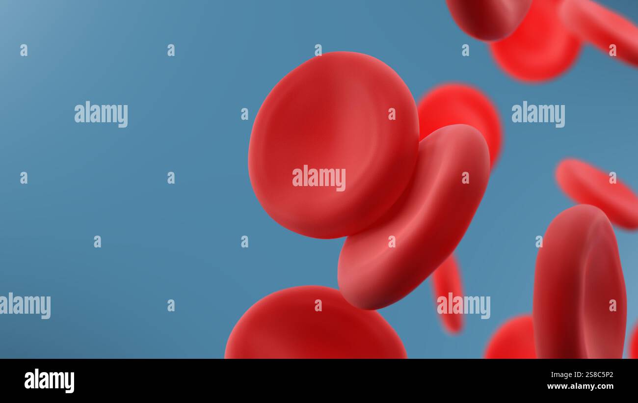 Human red blood cells. 3d illustration Stock Photo - Alamy