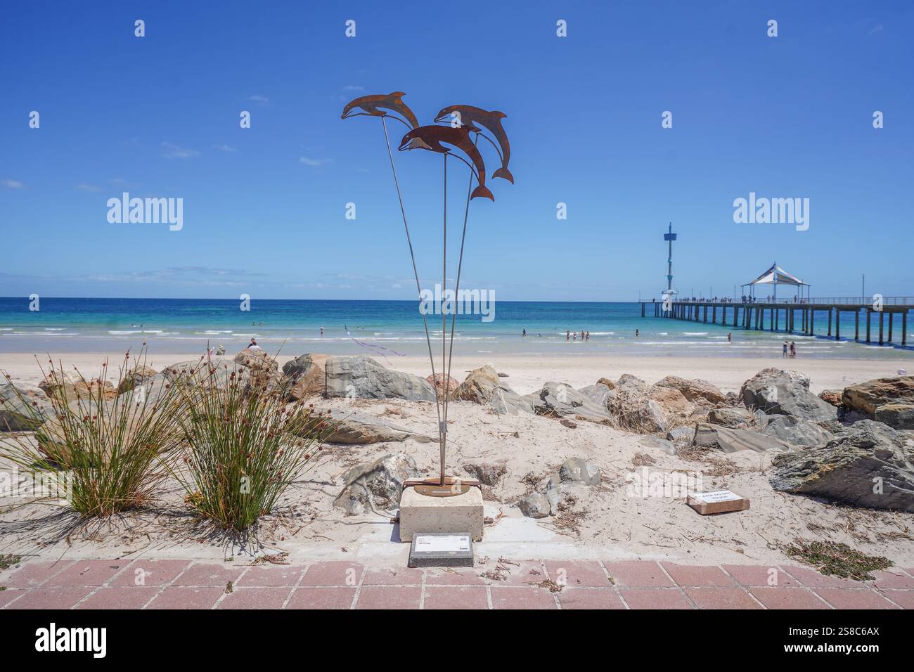 Adelaide, Australia 22 January 2025 Image: Dolphin Pod by Judy Manning ...