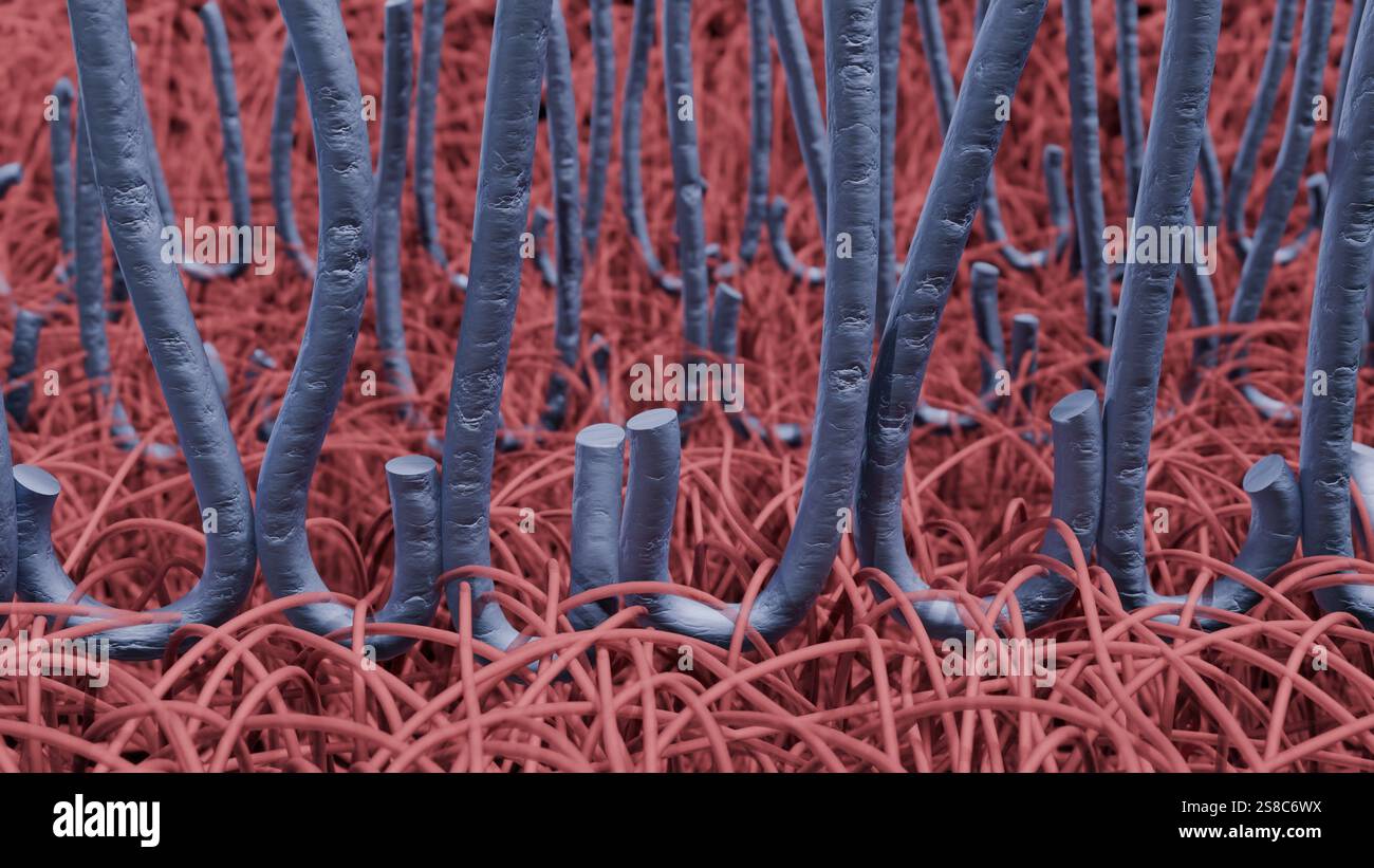 Hook and loop fasteners. Extreme closeup. 3d render illustration Stock ...