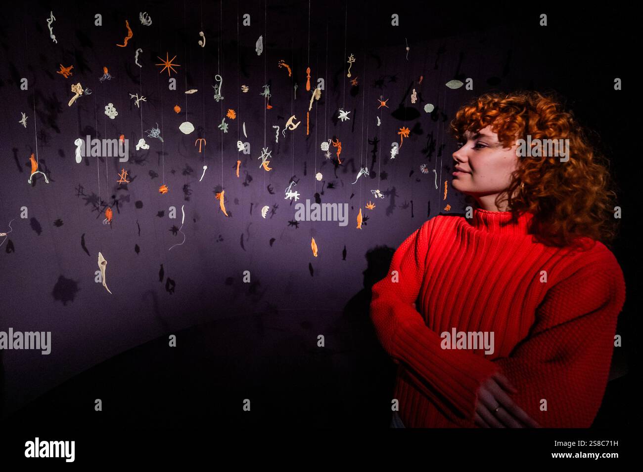 London, UK. 21 Jan 2025. Odkin, 2024, by Jo Pearl - SOIL: The World at Our Feet, a landmark ...