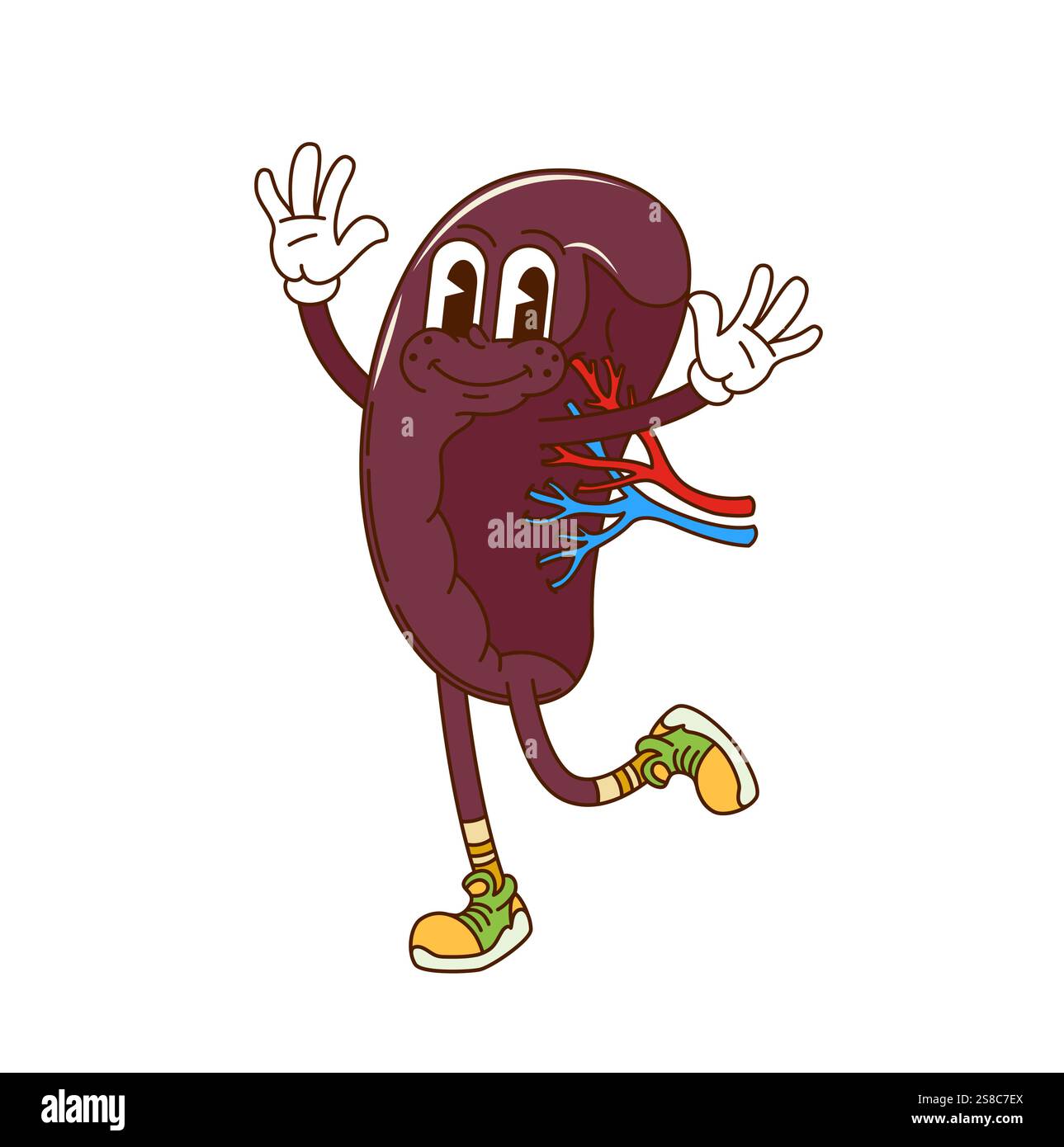 Cartoon groovy human spleen funny character. Human anatomy, physiology ...