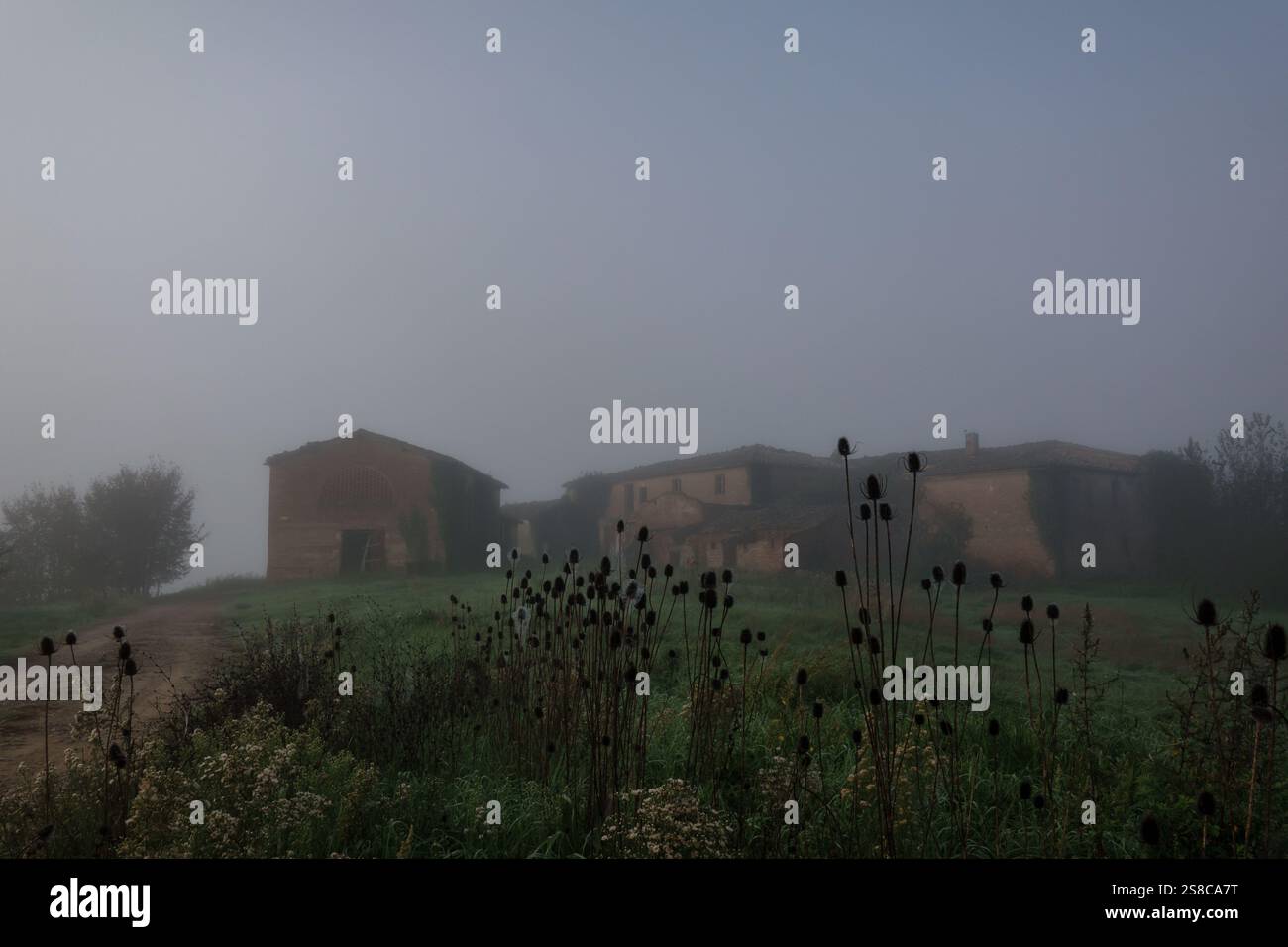 Foggy rural landscape showcasing a farmhouse and surrounding vegetation ...
