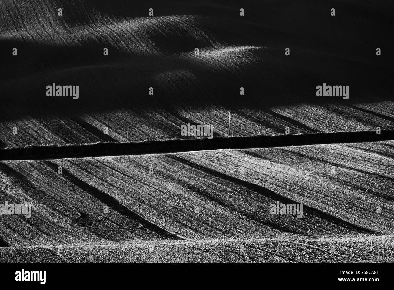 Monochrome photograph of agricultural land highlighting textures of ...