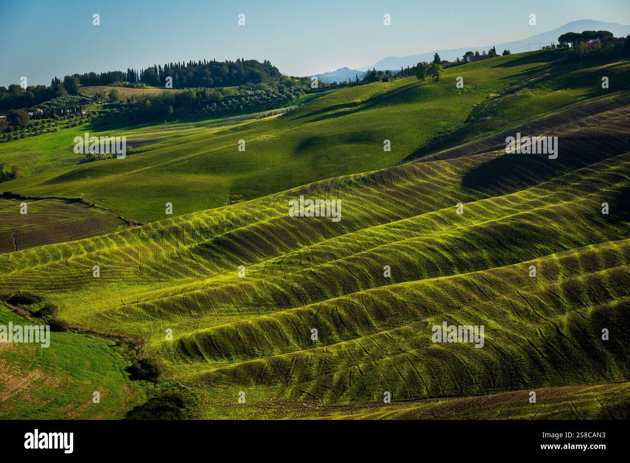 Vibrant scenic view of green hills with sunlight highlighting beautiful ...