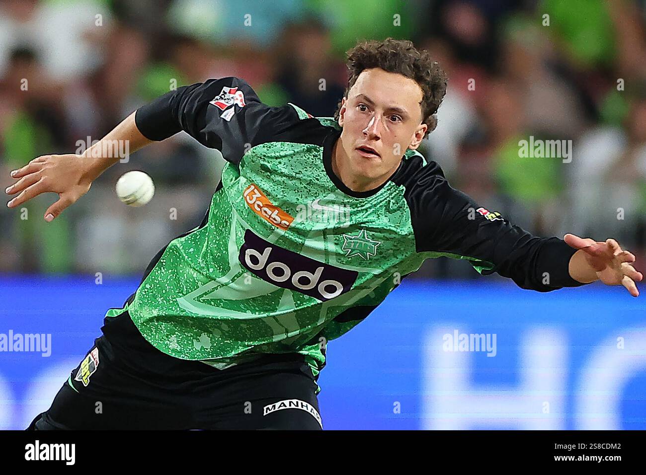 Doug Warren of the Stars fields during the BBL Knockout Final match ...