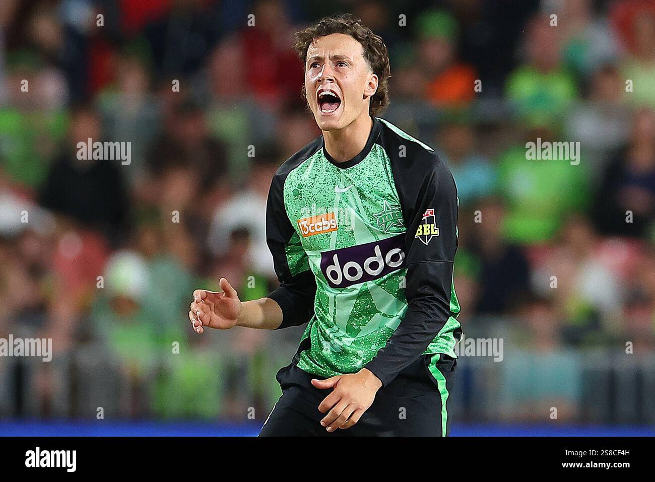 Doug Warren of the Stars shouts of catch it during the BBL Knockout ...
