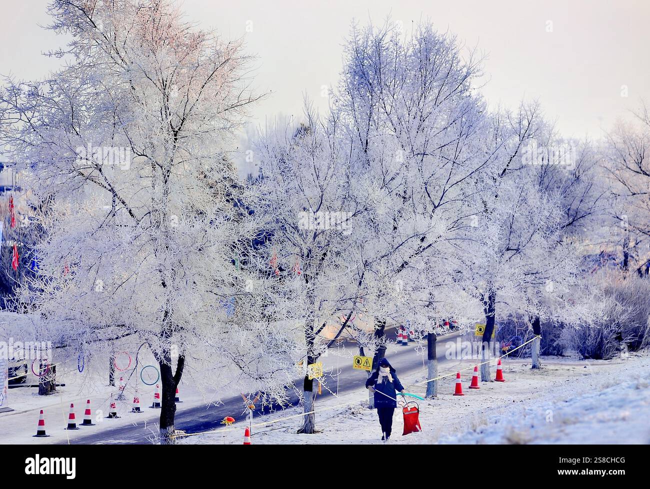 Rime scenery in Harbin City, northeast China's Heilongjiang Province ...