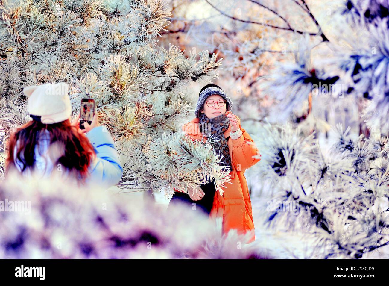 Rime scenery in Harbin City, northeast China's Heilongjiang Province ...
