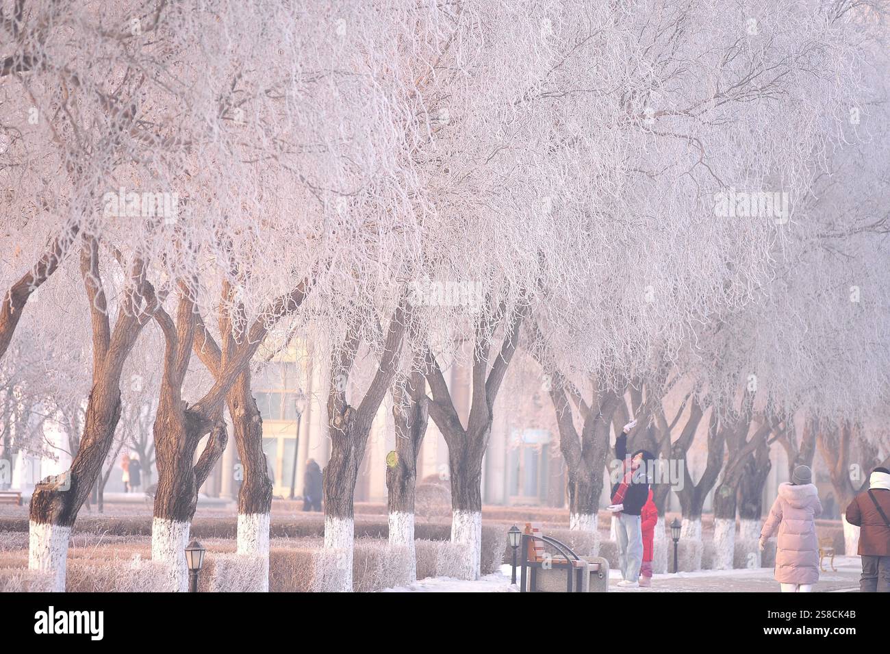 Rime scenery in Harbin City, northeast China's Heilongjiang Province ...