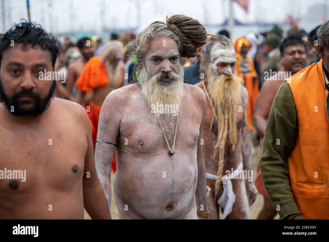 Images of sadhus and naga sadhus at Maha Kumbh Mela, the Hindu festival ...