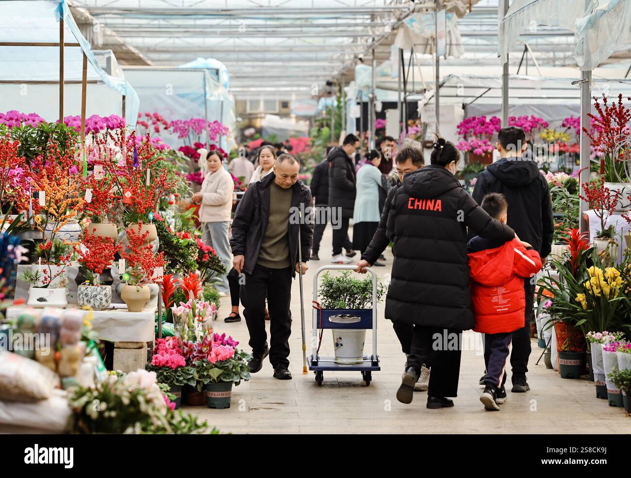 People select Spring Festival flowers at a market in Rizhao City, east ...