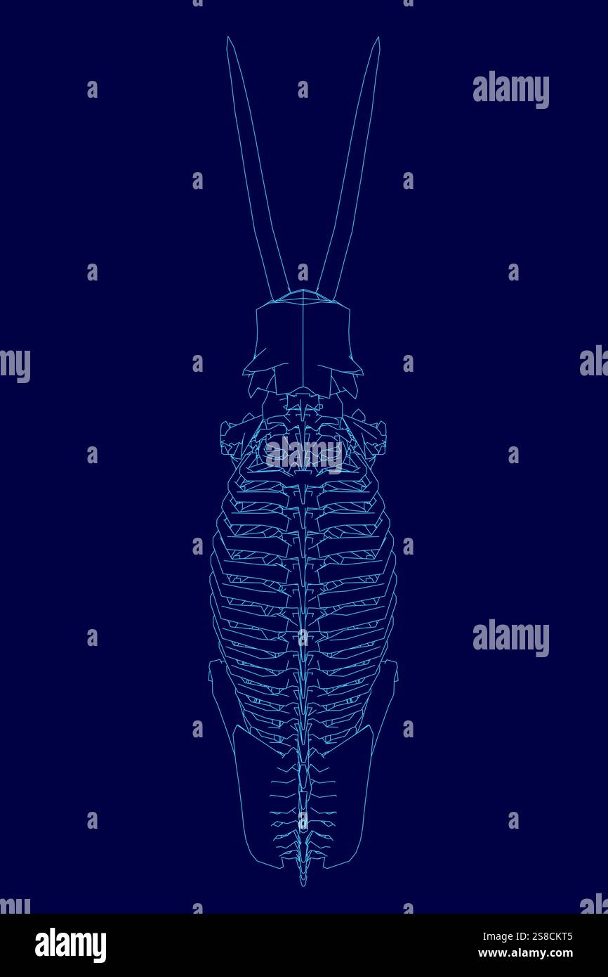 Blue drawing of a skeleton insect. The skeleton insect is shown from ...