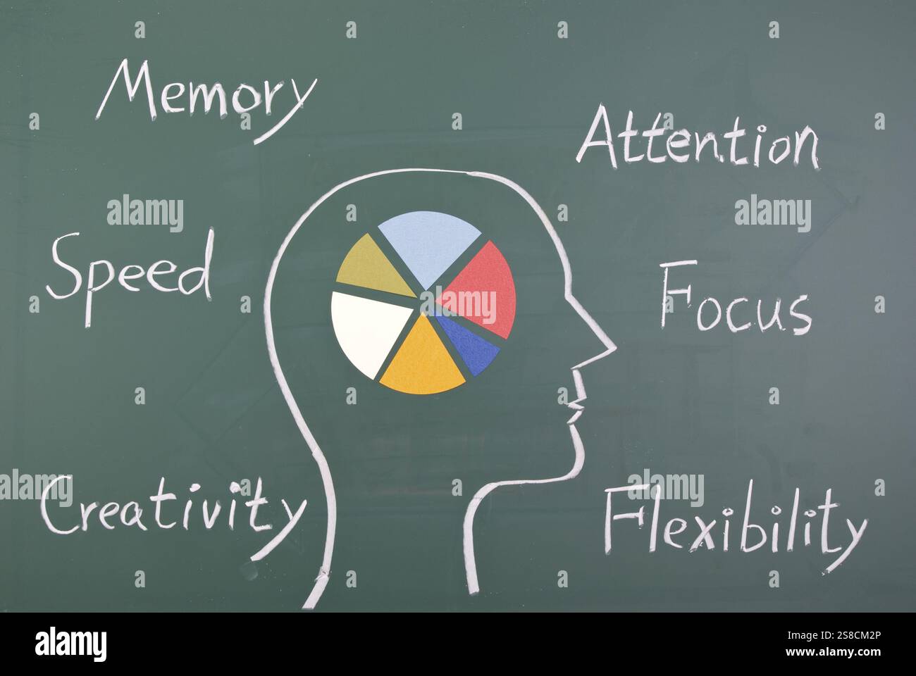 Concept of six ability in human brain. Graph with colorful chart on ...