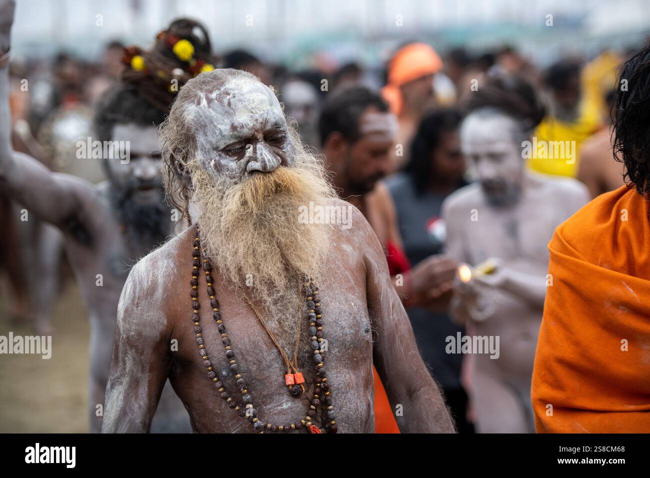 Images of sadhus and naga sadhus at Maha Kumbh Mela, the Hindu festival ...