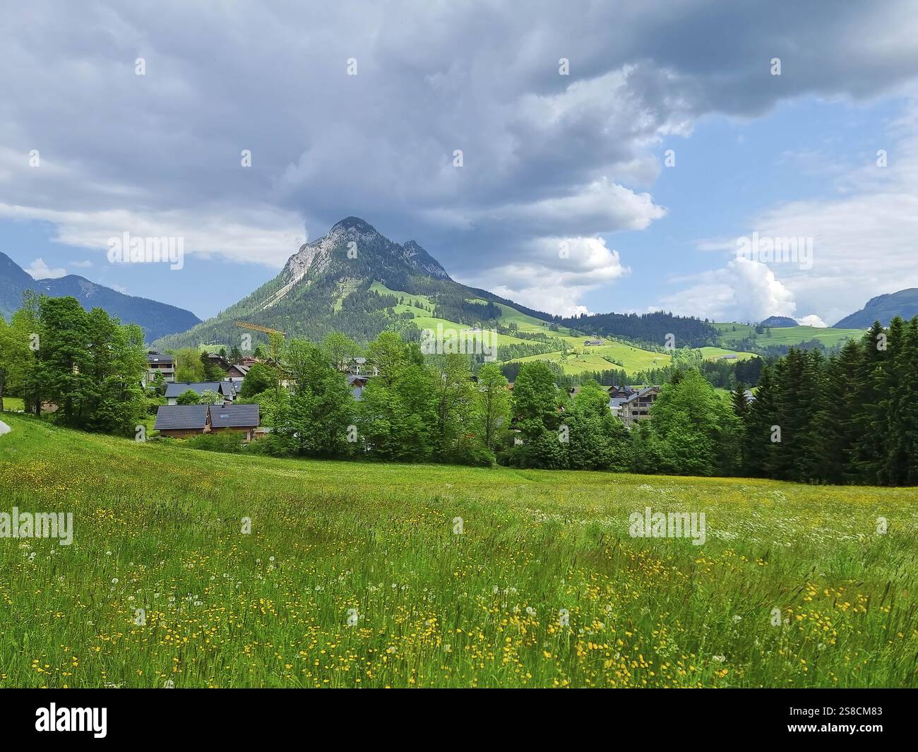 Summer austrian landscape with green meadows and impressive mountains ...