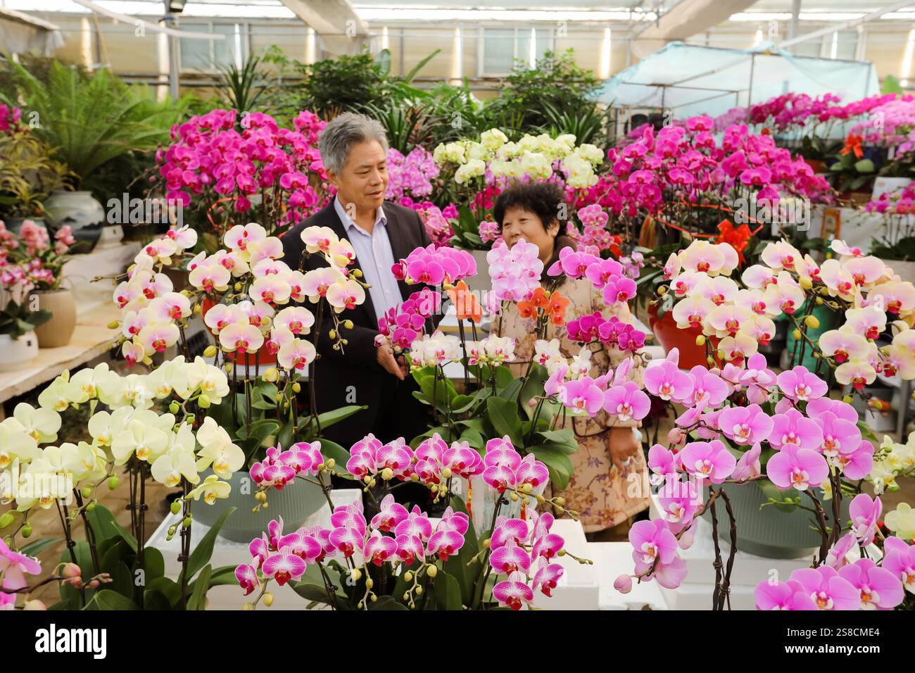 People select Spring Festival flowers at a market in Rizhao City, east ...