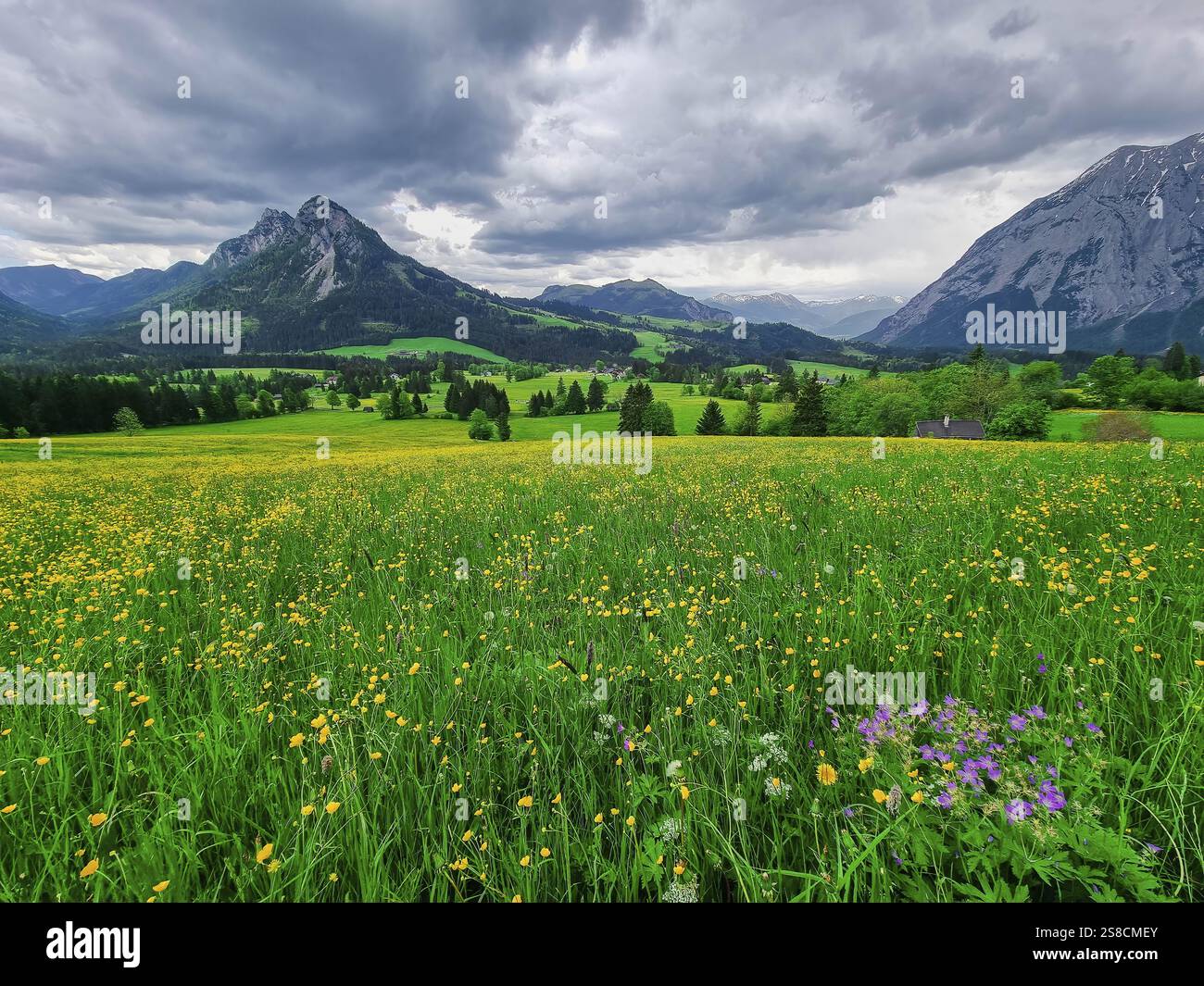 Summer austrian landscape with green meadows and impressive mountains ...