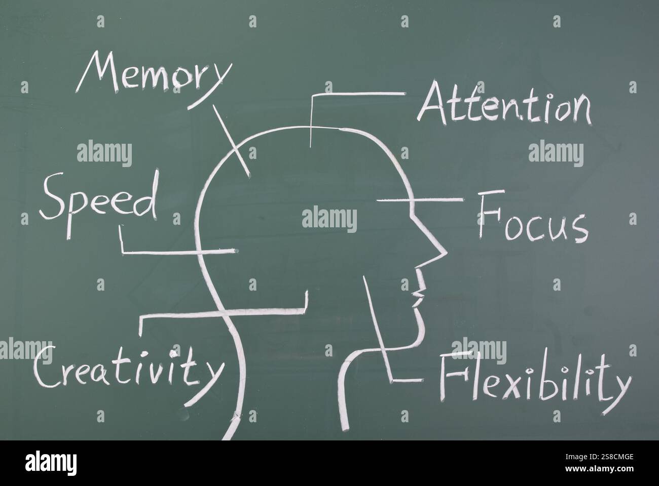 Concept of six ability in human brain. Graph with colorful chart on ...