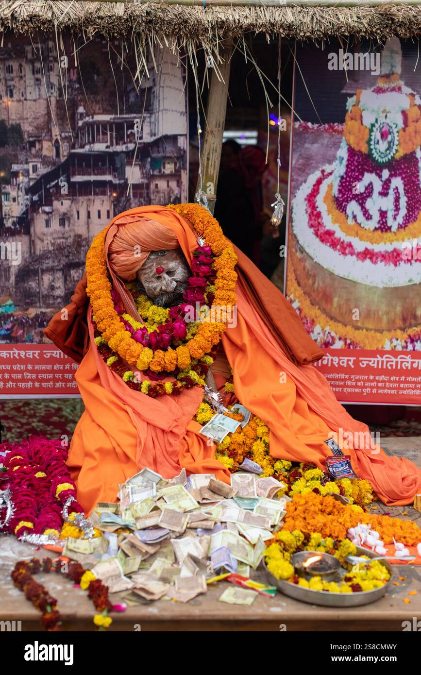 Naga sadhus hi-res stock photography and images - Alamy