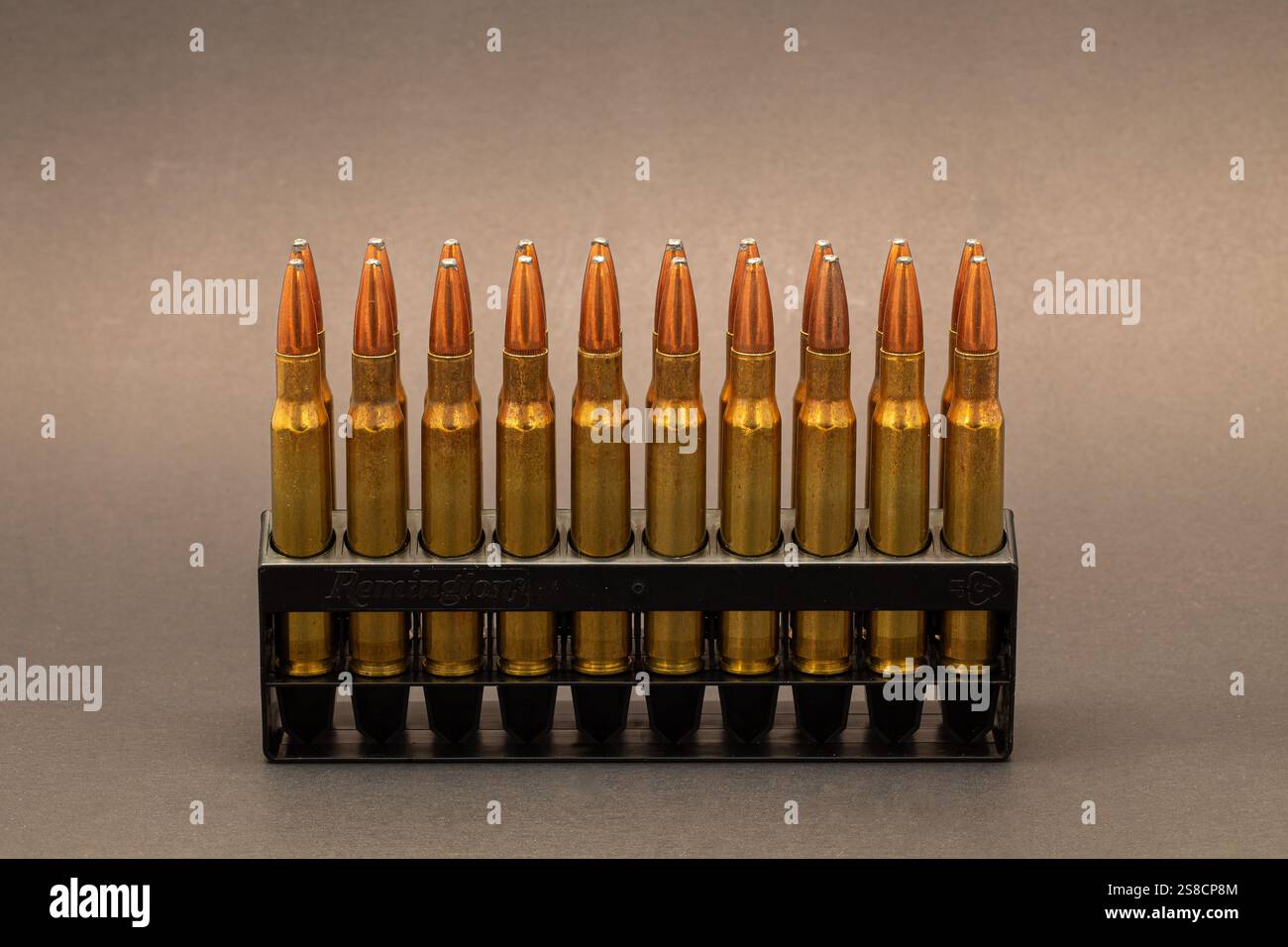 Rifle Ammo: 30-06 cartridges with soft point bullets in a black case on ...