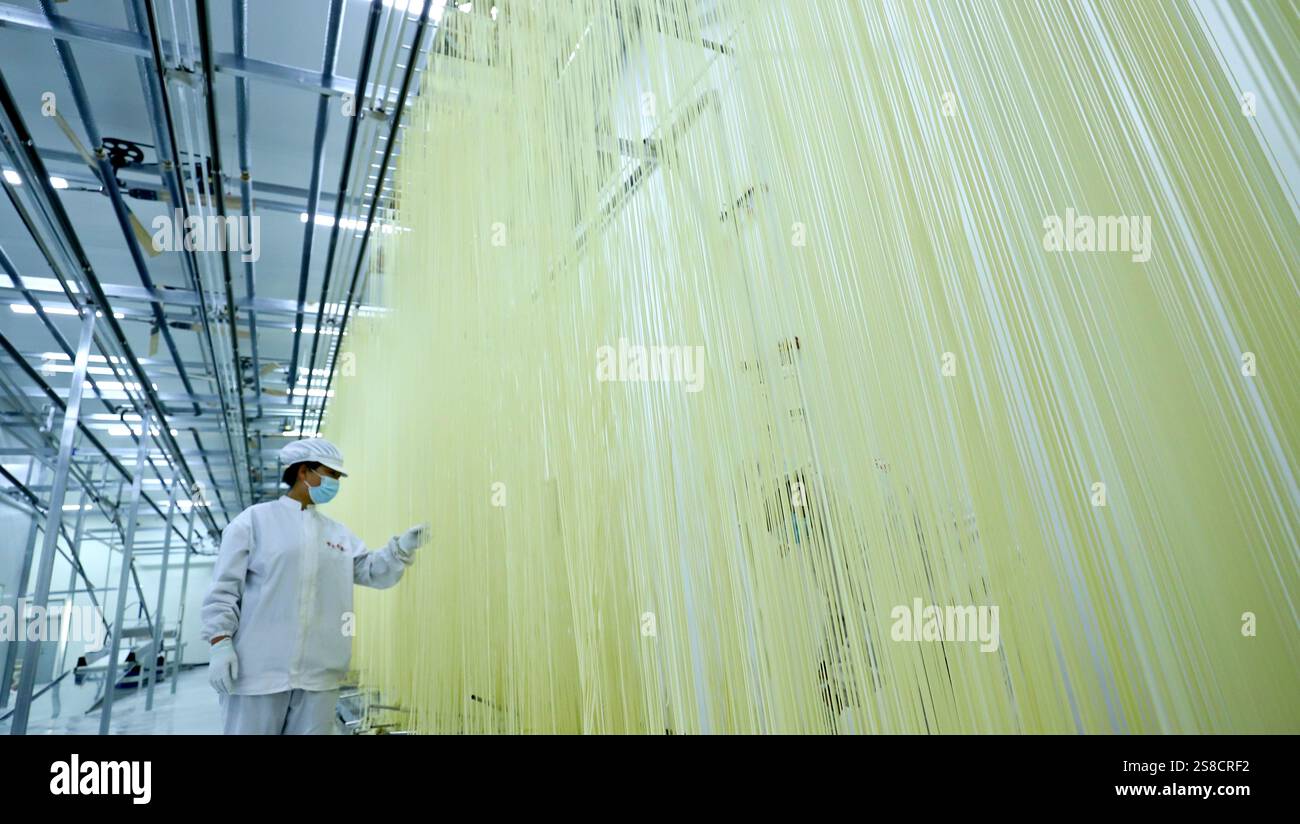 Technicians check the drying of noodles in Zhangye city, Gansu province ...