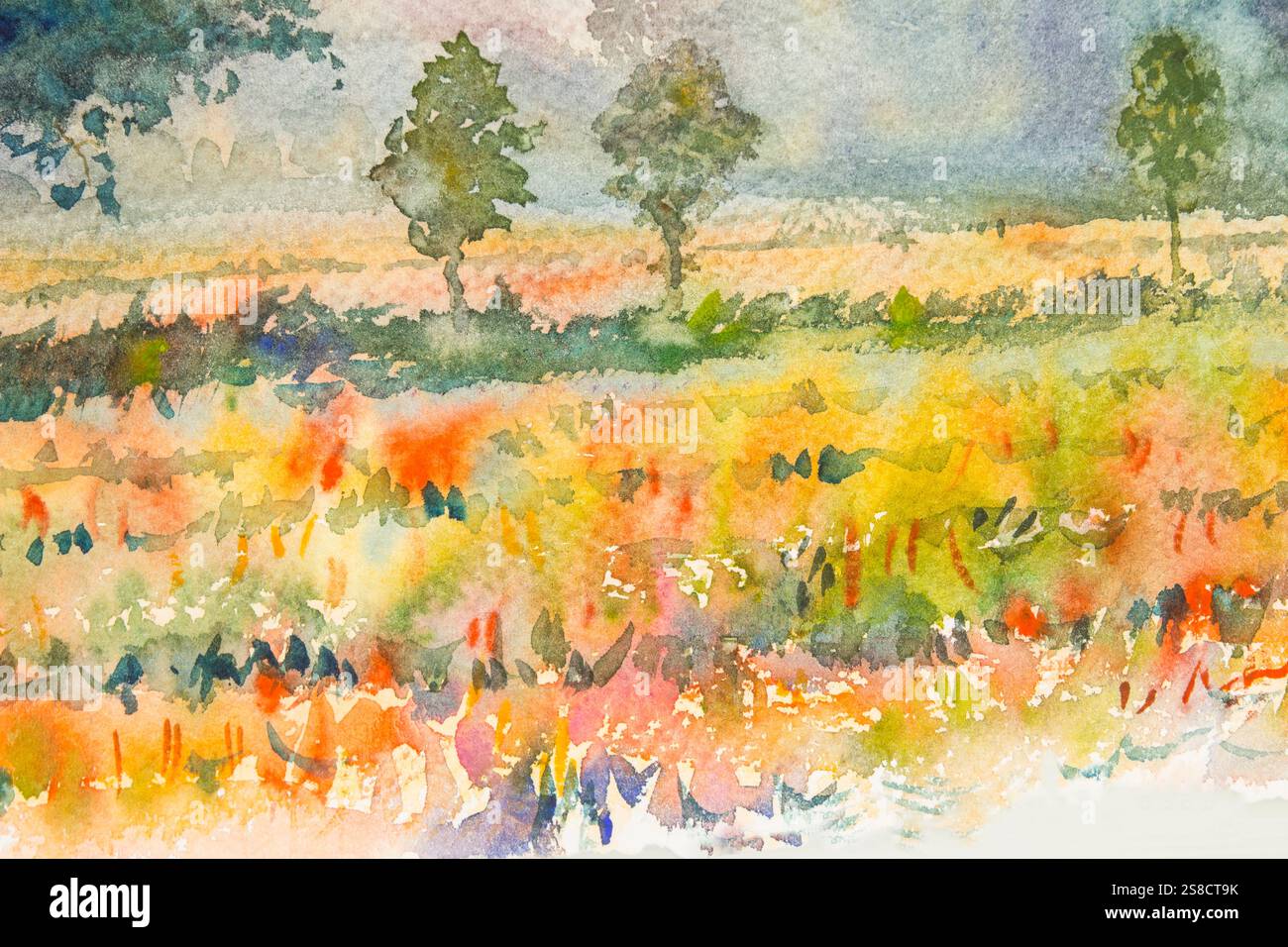 Watercolor original landscape painting yellow color of golden rice ...