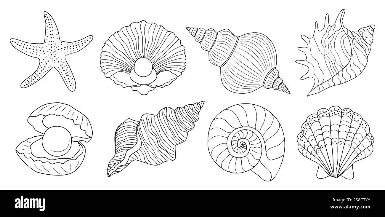Minimalist seashells vector line art set isolated Stock Vector Image ...