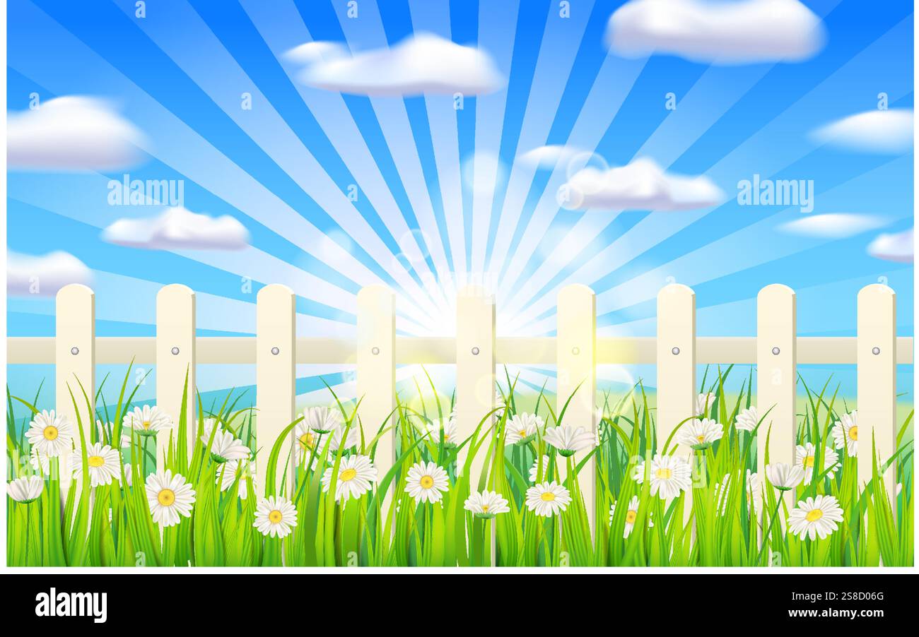 Spring green grass, daisy flowers, white fence, sun rays Stock Vector ...