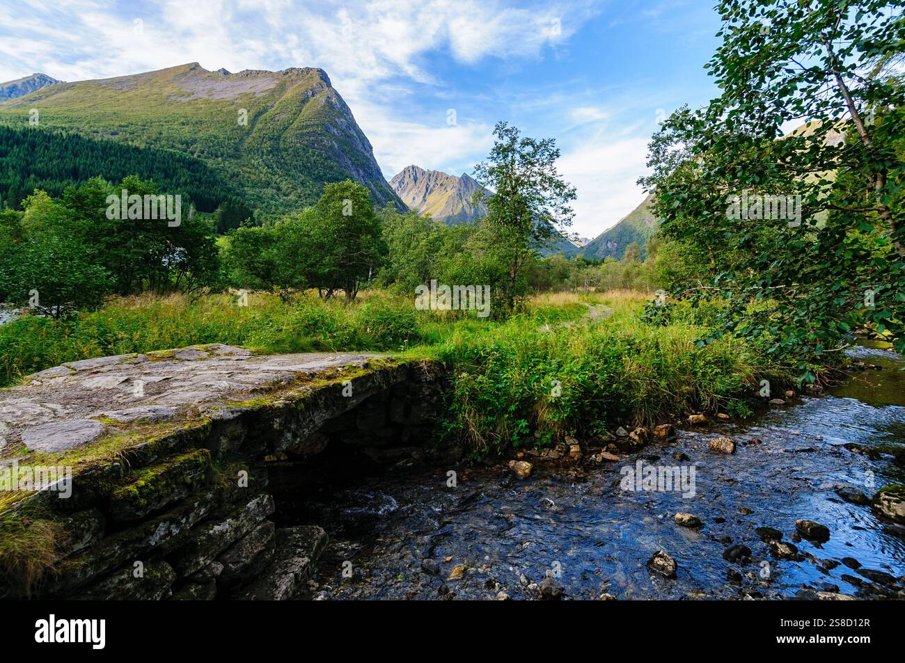 Norways fauna hi-res stock photography and images - Alamy