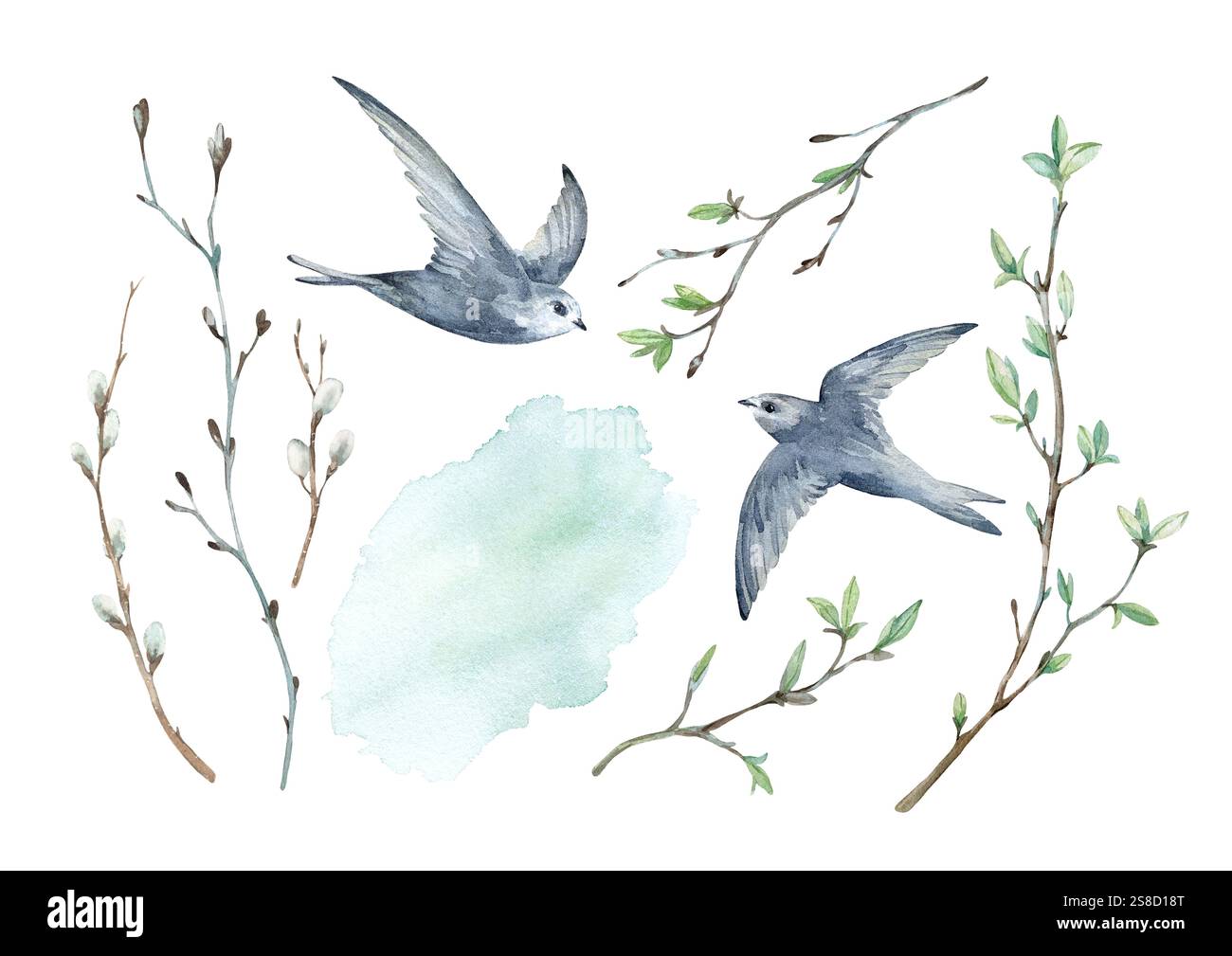 Birds and branches spring set of illustrations. Swifts flying, leaves ...