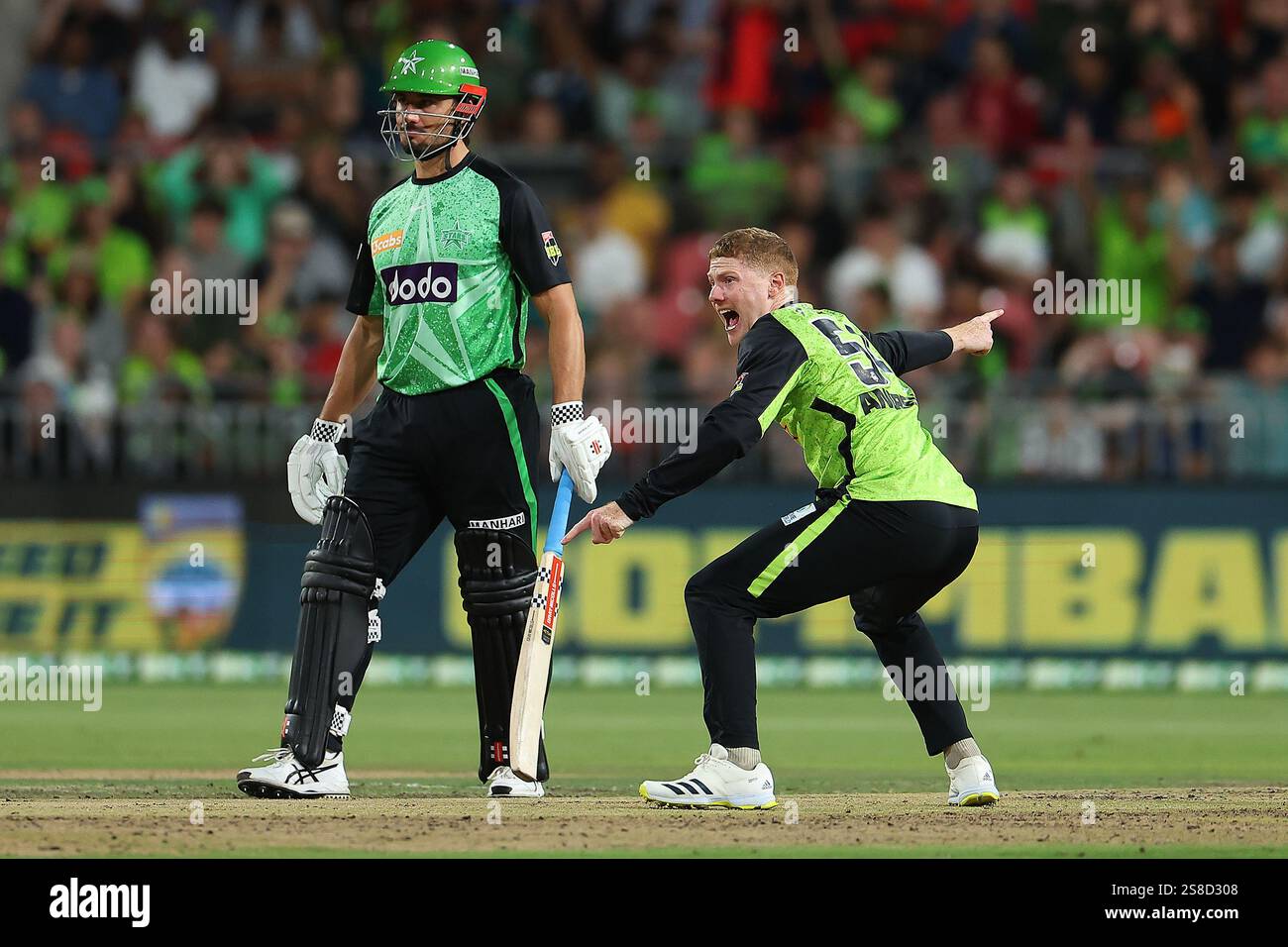 Sydney, Australia. 22nd Jan, 2025. Tom Andrews of the Thunder appeals ...