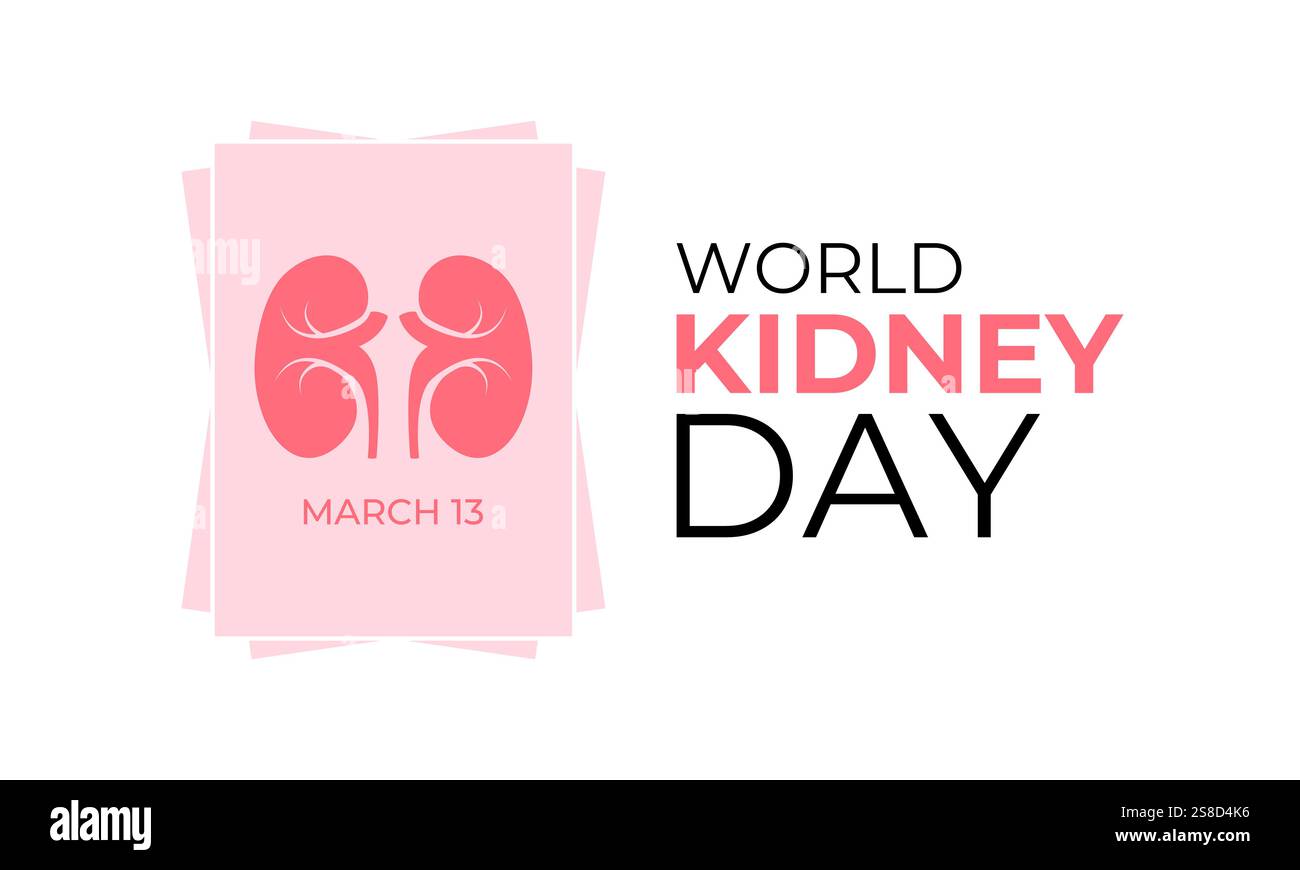 International kidney Cut Out Stock Images & Pictures - Alamy