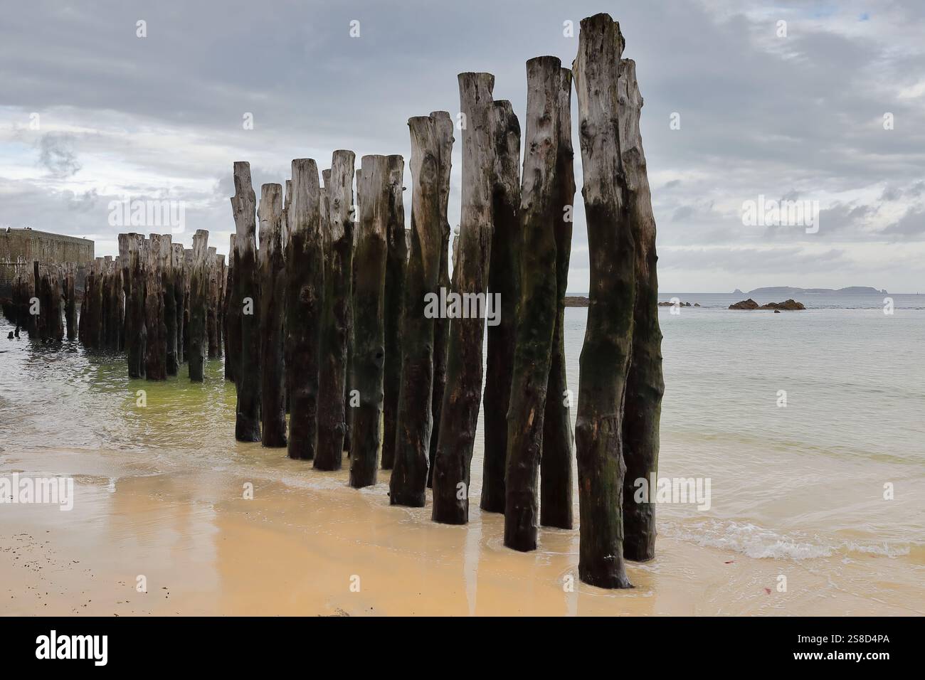 208 Row of oak wood piles from the Queen Bastion to the Ladies Tower ...