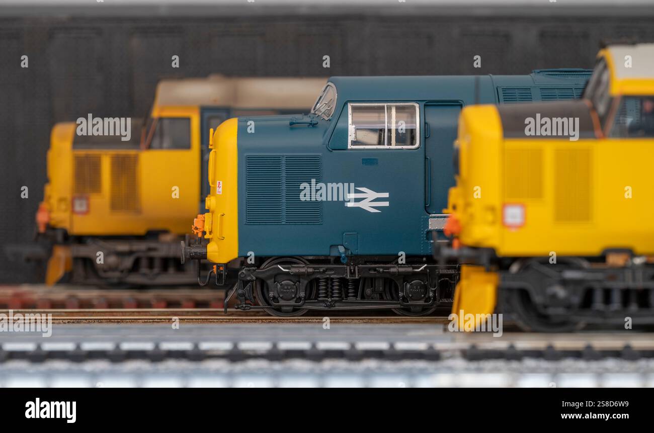 Class 55 Deltic in BR Blue small logo livery between two Class 37 ...