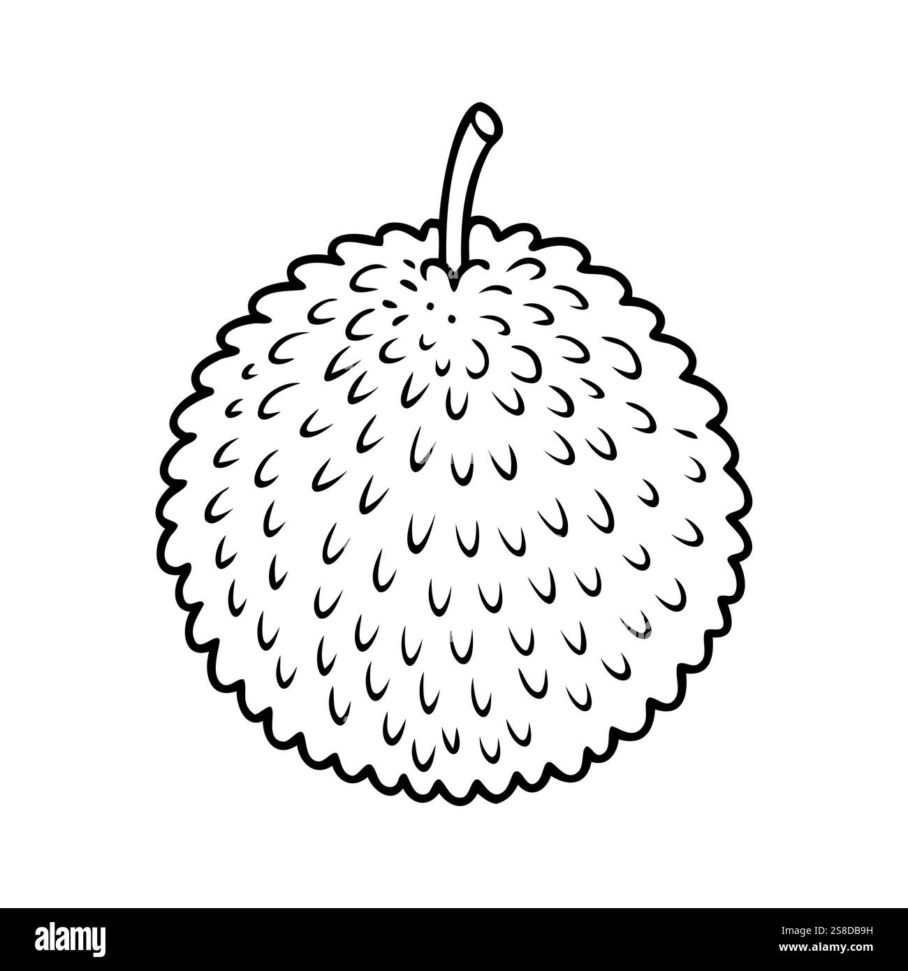 Lychee icon. Minimalist line drawing of a ripe lychee. Vector ...
