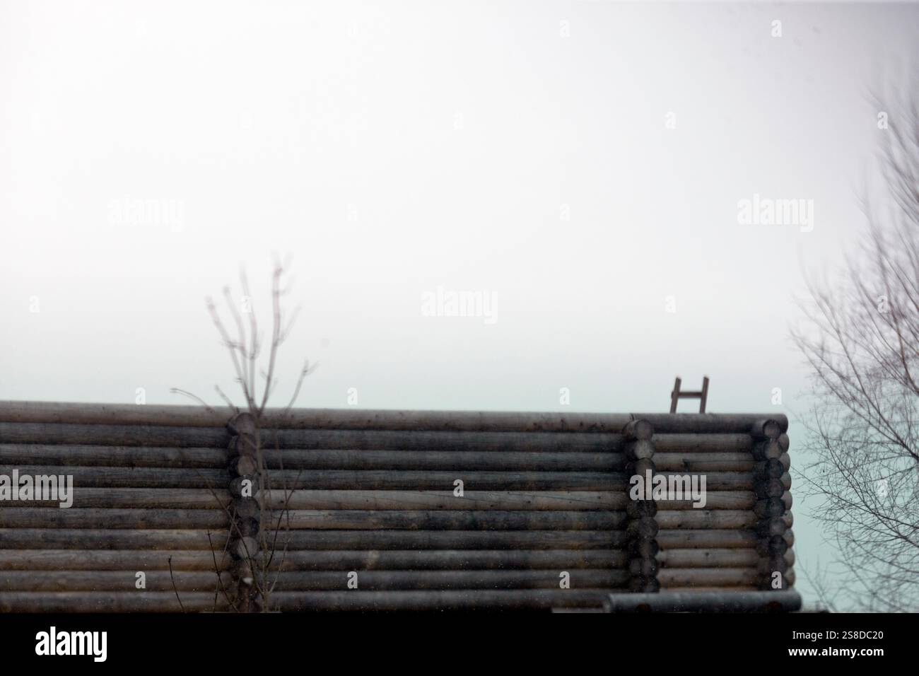 unfinished wooden log house and a ladder, winter day tilted shift shot ...