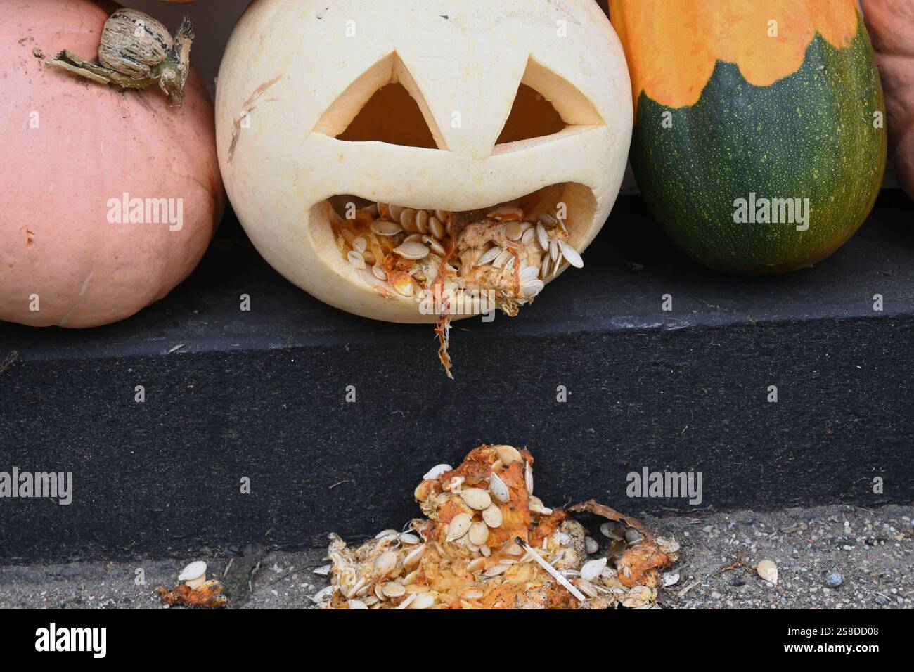 Seeds spilling from mouth hi-res stock photography and images - Alamy