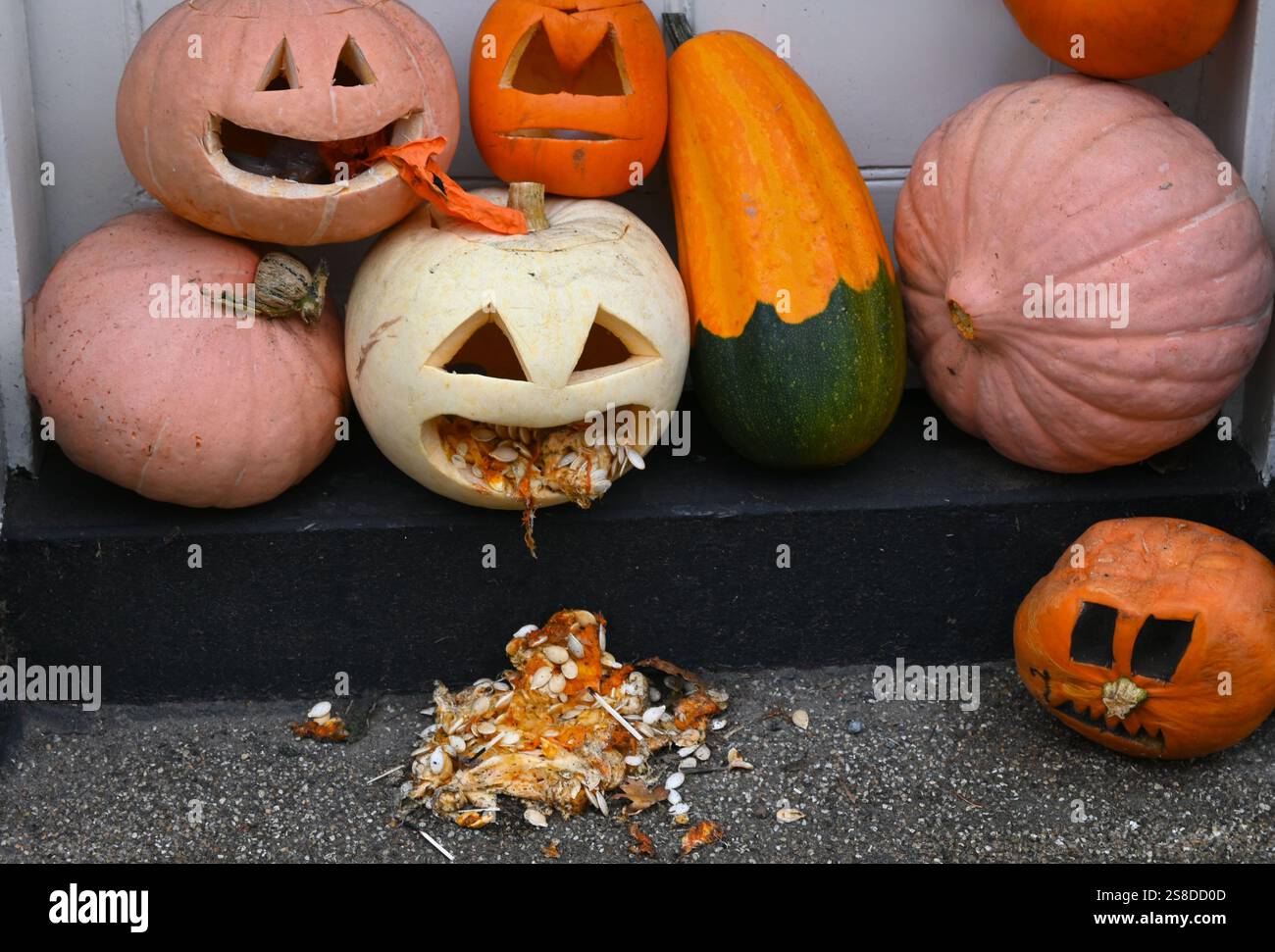 group of pumpkins with seeds spilling from mouth Stock Photo - Alamy