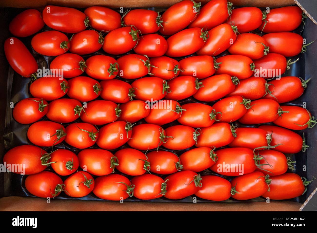 Red cherry tomatoes lie in hi-res stock photography and images - Alamy