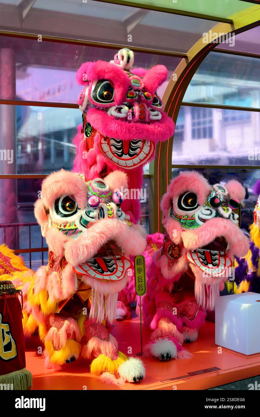 Three dancing lions to celebrate Chinese New Year Stock Photo - Alamy