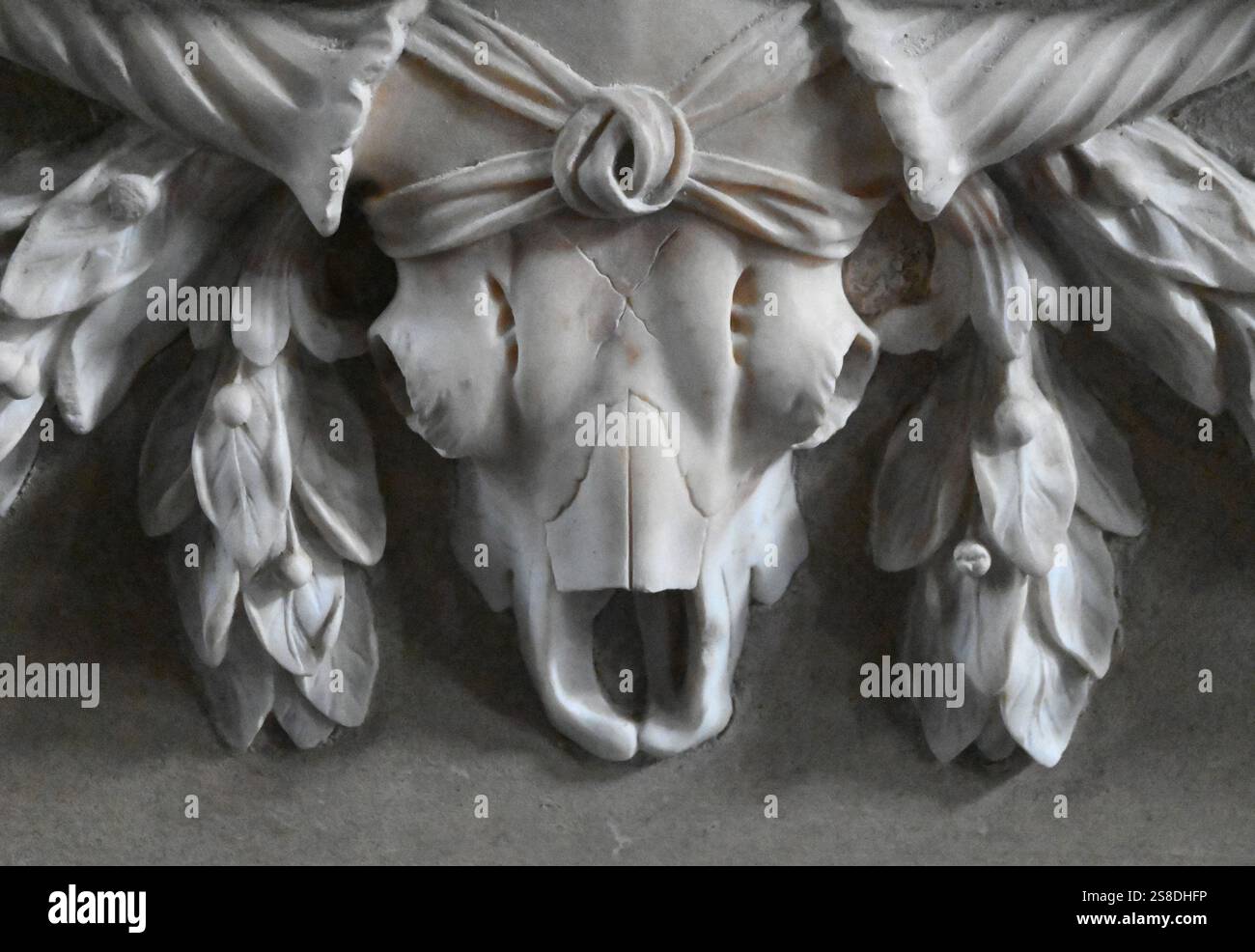 carved animal skull , st nicholas's chapel, kings lynn Stock Photo - Alamy