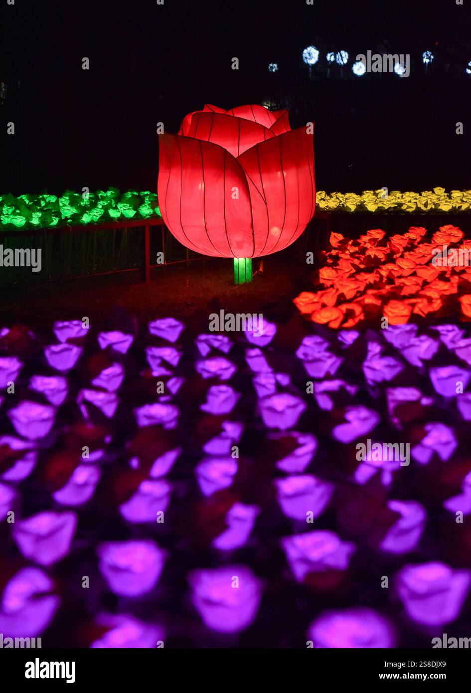 Lightopia VIP Launch, at Chiswick House and Gardens in London, England ...