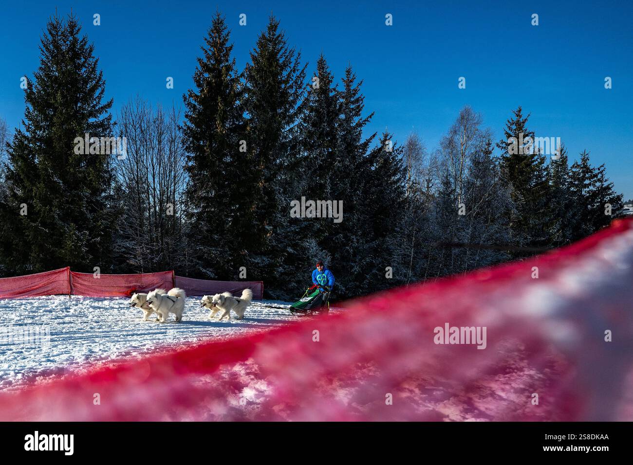 The Sedivackuv long, an international stage sled dog race, continued in ...