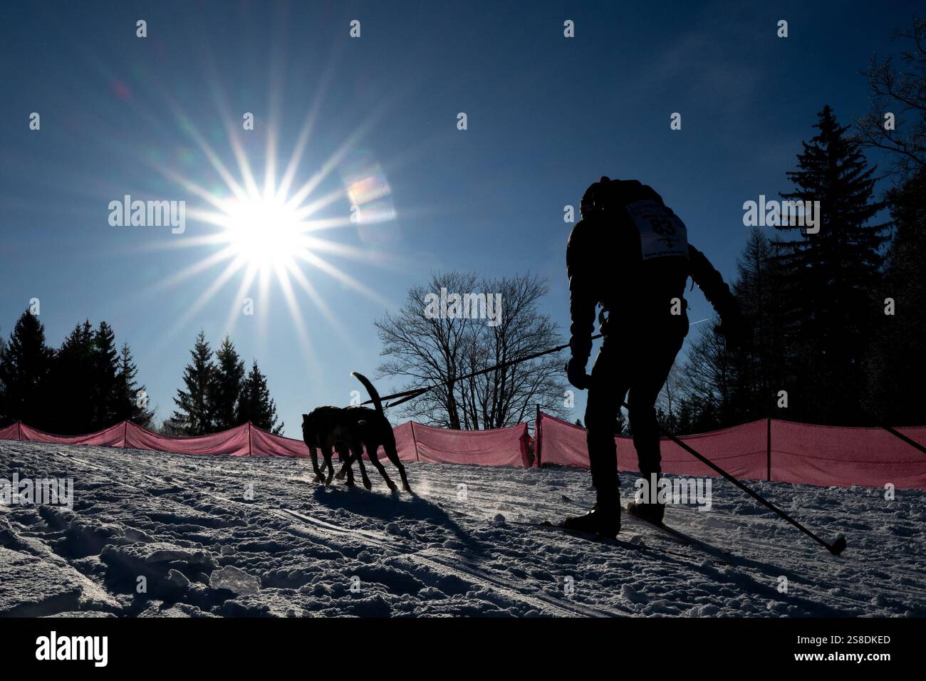 The Sedivackuv long, an international stage sled dog race, continued in ...