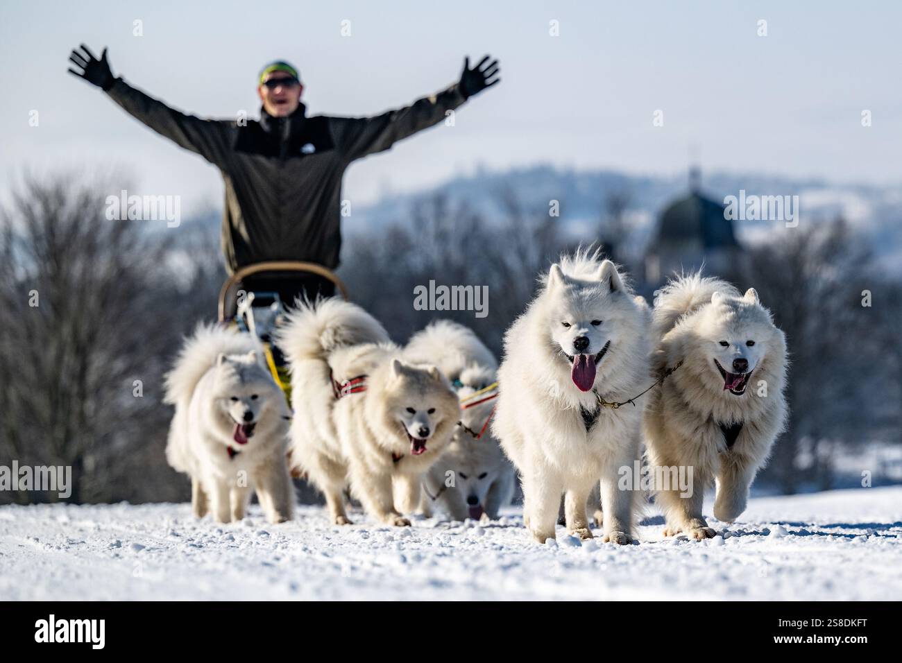 The Sedivackuv long, an international stage sled dog race, continued in ...