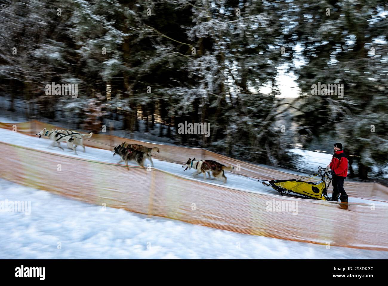 The Sedivackuv long, an international stage sled dog race, continued in ...