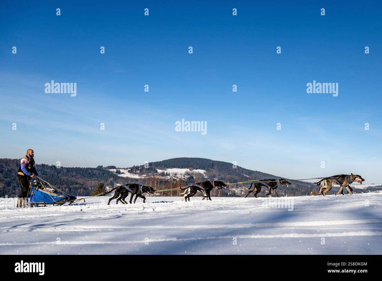 The Sedivackuv long, an international stage sled dog race, continued in ...