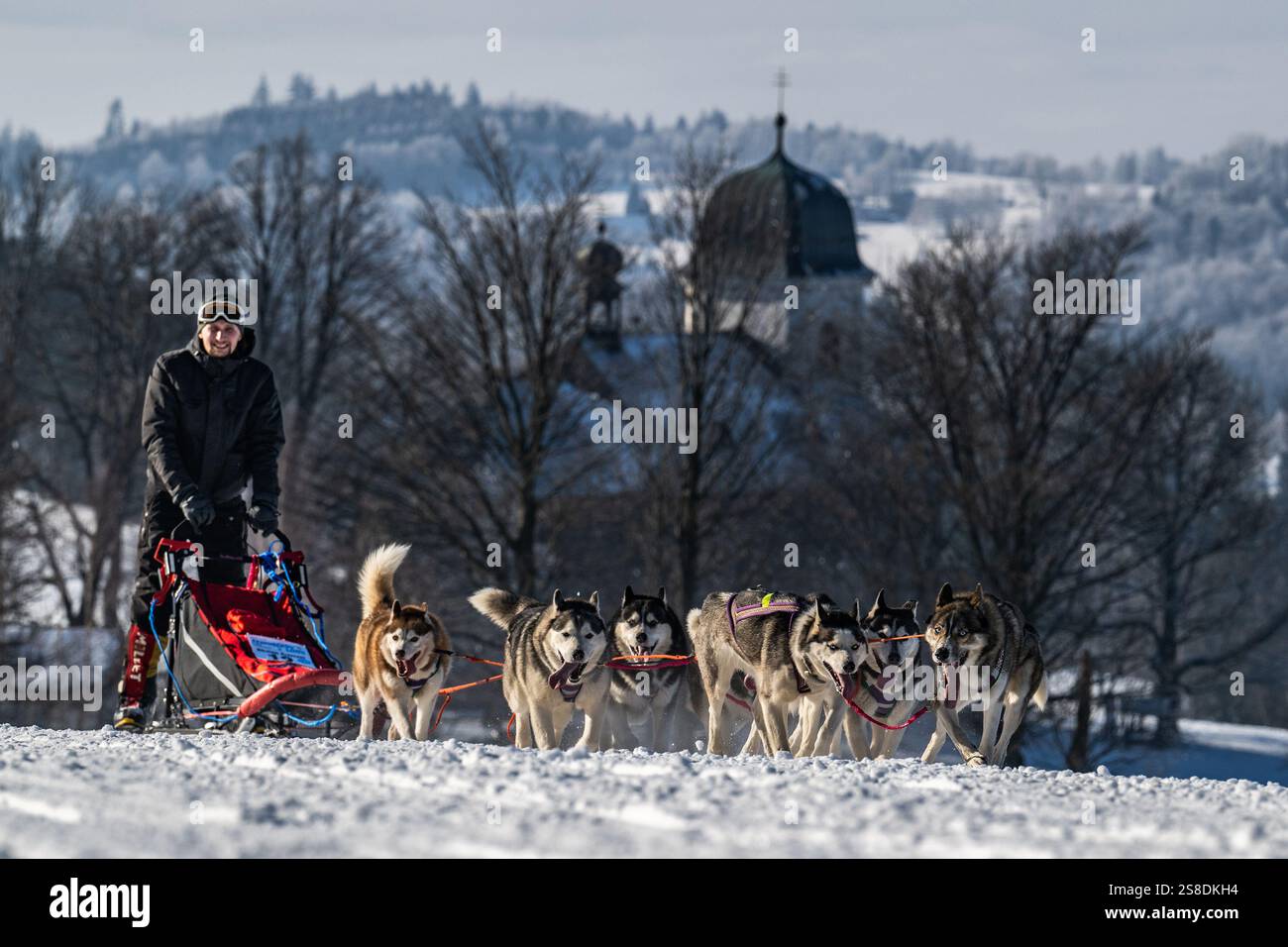 The Sedivackuv long, an international stage sled dog race, continued in ...