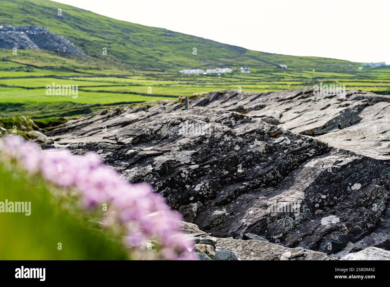 Rough and rocky shore along famous Ring of Kerry route. Rugged coast of ...