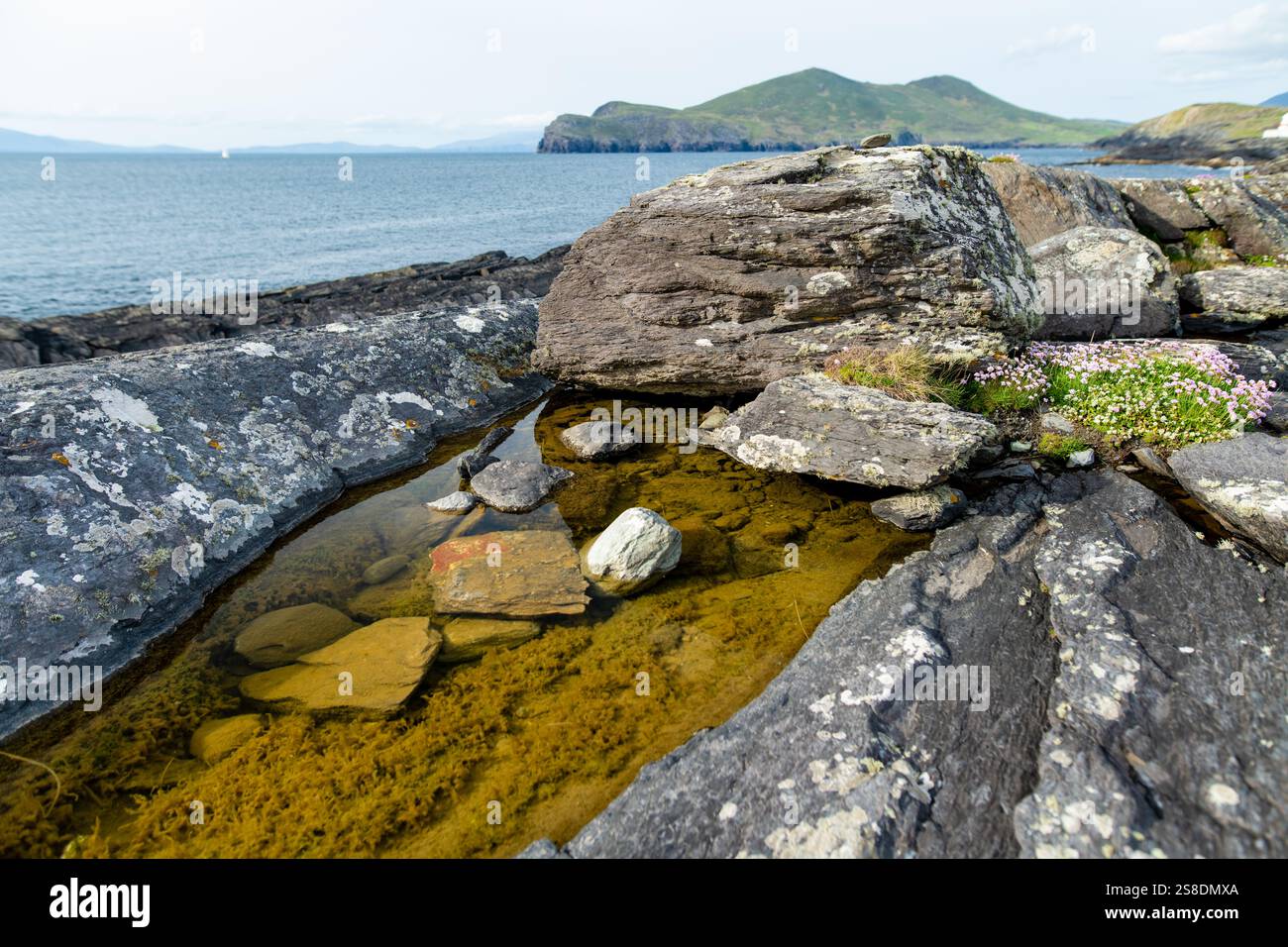 Rough and rocky shore along famous Ring of Kerry route. Rugged coast of ...
